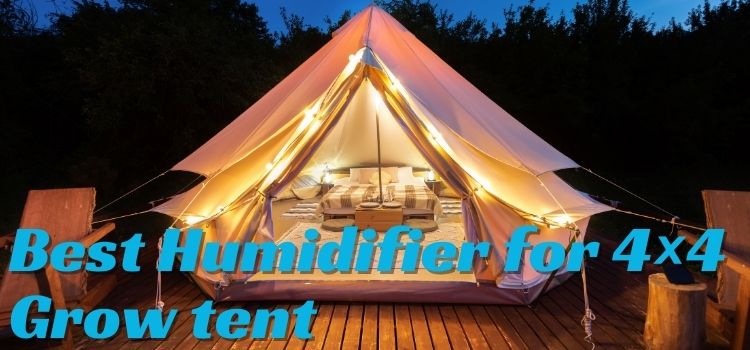 Best Humidifier for 4x4 Grow Tent: Top Picks for Optimal Growth